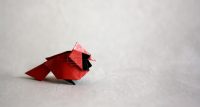Origami Gallery - Origami by Himanshu (Mumbai, India)